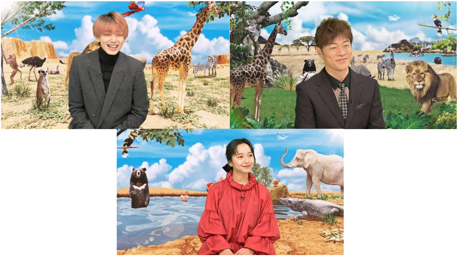 スペシャル企画「ZOO-1年間グランプリ2022」今年グランプリに輝いた15の動物の中から年間グランプリを決定!｜TBSテレビ